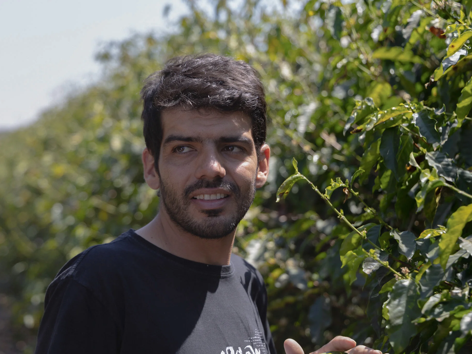 AUGUSTO BORGES / BRAZIL - FUGLEN COFFEE ROASTERS TOKYO