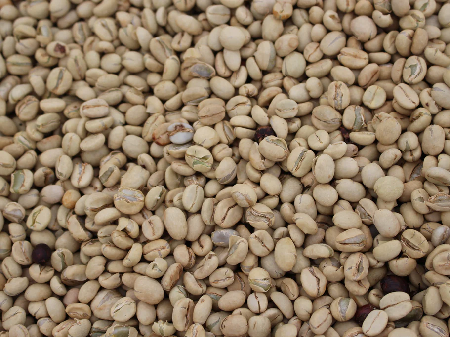 COFFEE BEANS - FUGLEN COFFEE ROASTERS TOKYO